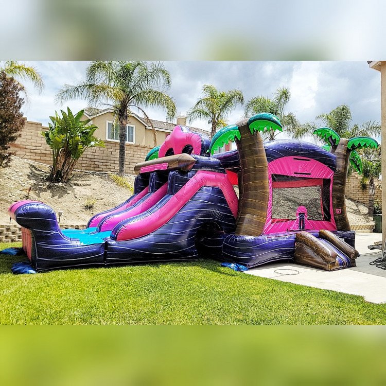 Bounce House Combo Rentals (Wet or Dry) - Big AZ Inflatables - High Desert